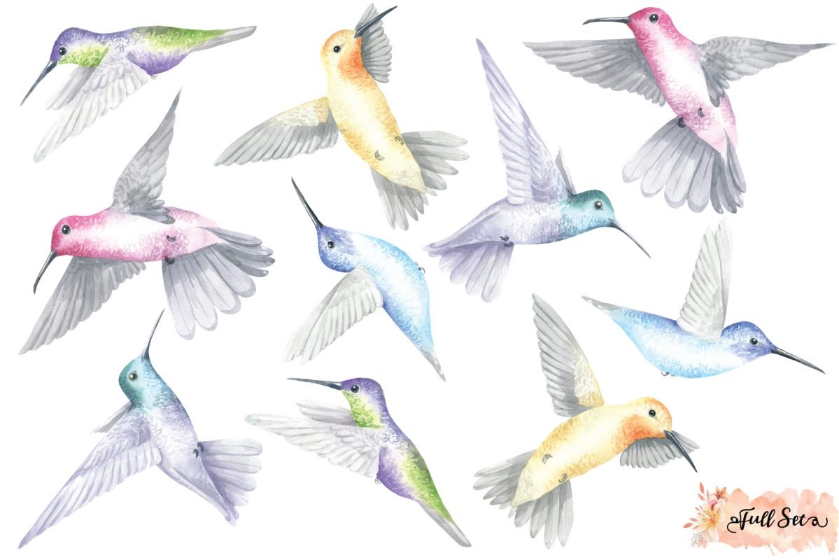 Watercolour Hummingbirds - Removable Wallpapers, Wall Stickers & Wall ...